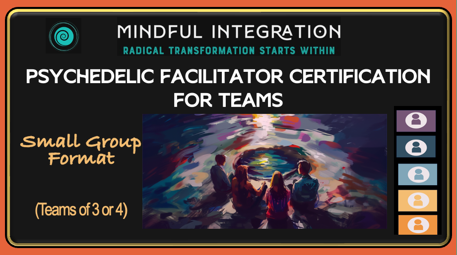 Mindful-Integration-Team